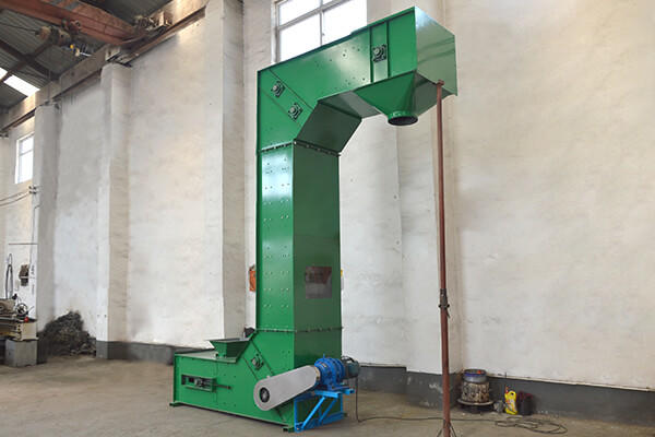 Pendulum Bucket Elevator Structure